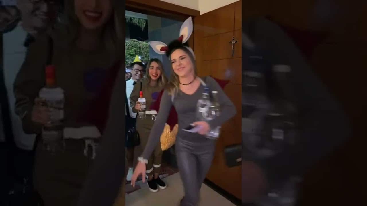 ≫ Disfraz De Personajes De Shrek Comprar Precio Y Opinión 2026